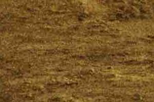 RADWIMPS「me me she」歌詞の意味は？“女々しい”男心が切なすぎる失恋ソング！ | 歌詞検索サイト【UtaTen】ふりがな付