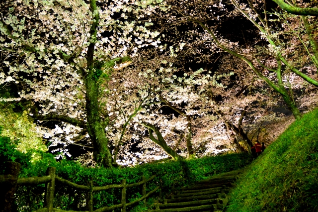 宵、桜 歌詞 綿飴 feat. IA ふりがな付 - うたてん