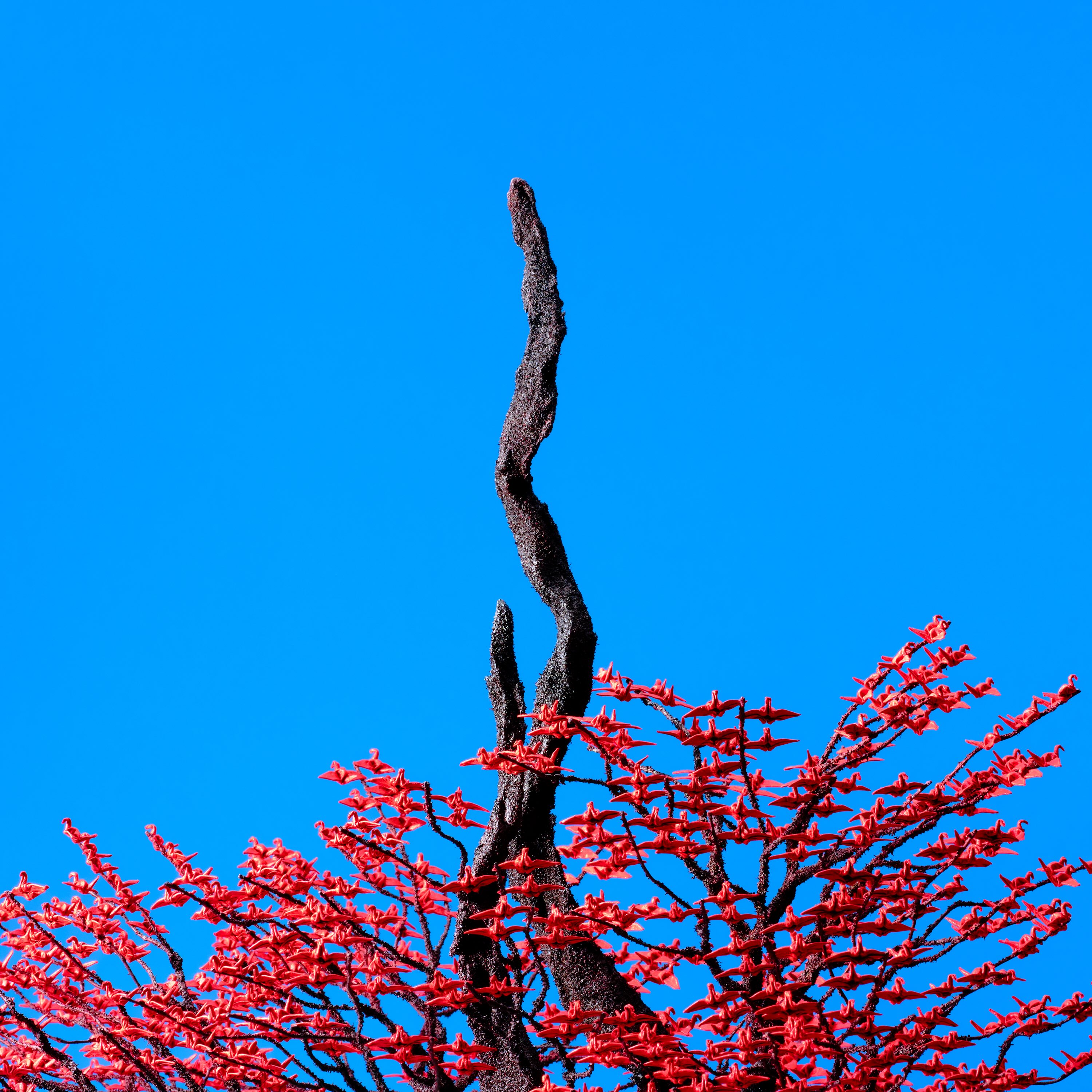 へび 歌詞 ヨルシカ TVアニメ「チ。 ―地球の運動について―」エンディングテーマ ふりがな付 - うたてん