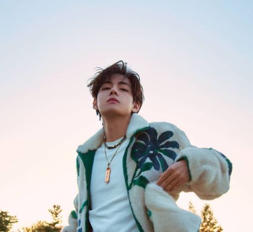 BTS・V、フーフーしたのに熱かった？ゆがめた顔まで可愛すぎなテテのモッパン | 歌詞検索サイト【UtaTen】ふりがな付