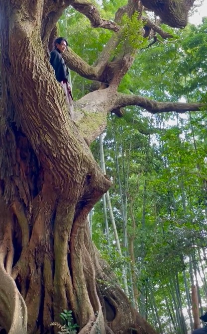 ディーン・フジオカ、ワイヤーアクションのカッコよさに見とれる「らんまん」坂本龍馬初登場 | 歌詞検索サイト【UtaTen】ふりがな付