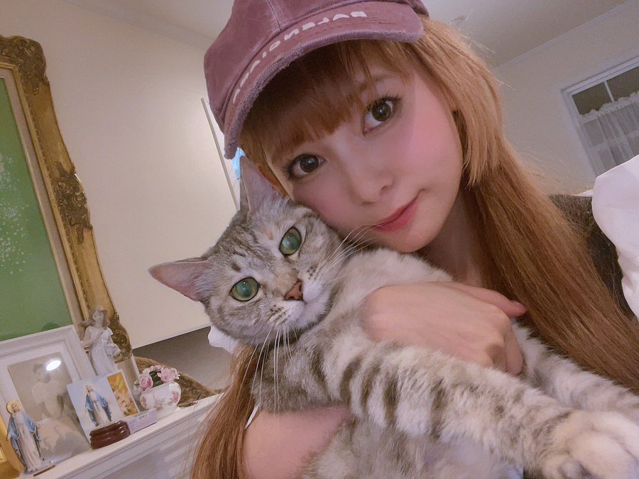 中川翔子、可愛いの大渋滞で癒し効果抜群！愛猫・ショコラとのツーショット写真を投稿 | 歌詞検索サイト【UtaTen】ふりがな付