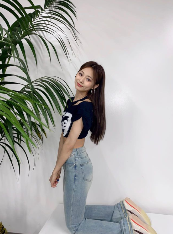 TWICE・ツウィ、観葉植物が羨ましい？！キュートなキス顔でドキドキさせちゃう！ | 歌詞検索サイト【UtaTen】ふりがな付