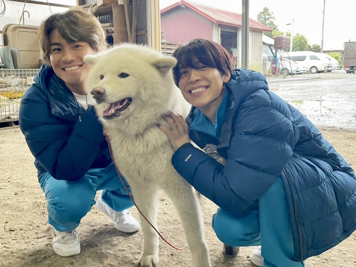 SixTONES・森本慎太郎&Sexy Zone・松島聡、ワンコと触れ合いニッコニコな笑顔！2人に癒されるファン続出 | 歌詞検索サイト【UtaTen】ふりがな付