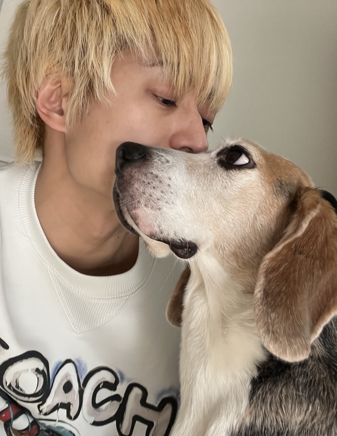 A.B.C-Z・塚田僚一、愛犬とのイチャイチャショットにキュン！和やかなひと時に癒される | 歌詞検索サイト【UtaTen】ふりがな付
