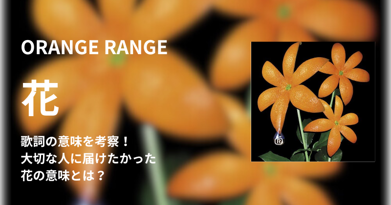 ORANGE RANGE「花」歌詞の意味を考察！大切な人に届けたかった花の意味とは？ | 歌詞検索サイト【UtaTen】ふりがな付
