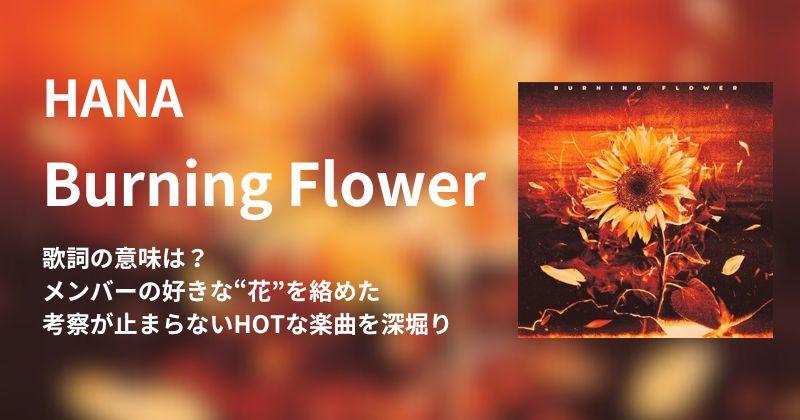 HANA「Burning Flower」歌詞の意味は？メンバーの好きな“花”を絡めた考察が止まらないHOTな楽曲を深堀り | 歌詞検索サイト ...
